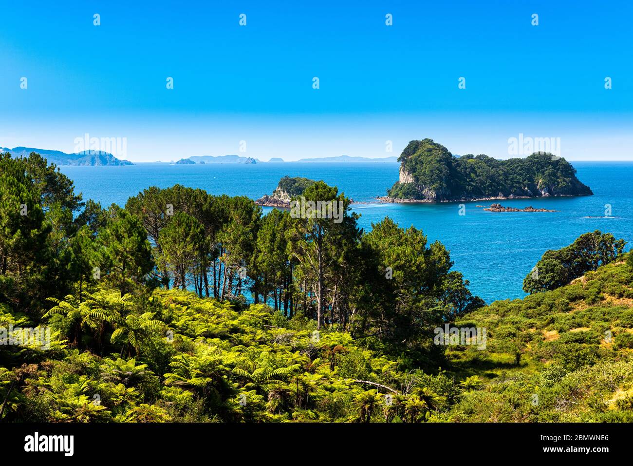 View of Gemstone Bay while walking to Cathedral Cove in New Zealand ...