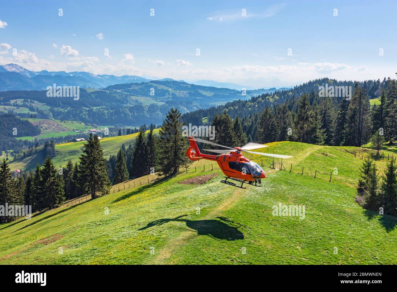 Red rescue helicopter of the German Luftrettung landing on a green ...