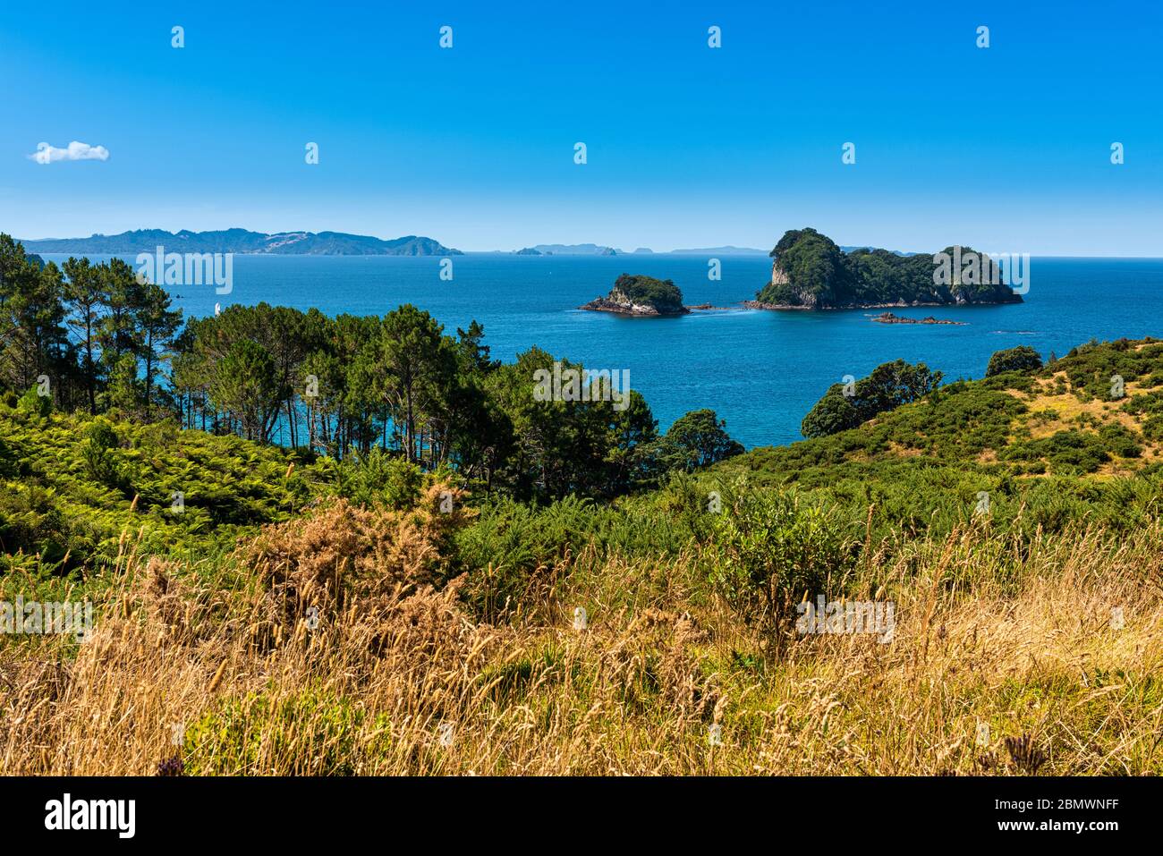 View of Gemstone Bay while walking to Cathedral Cove in New Zealand ...