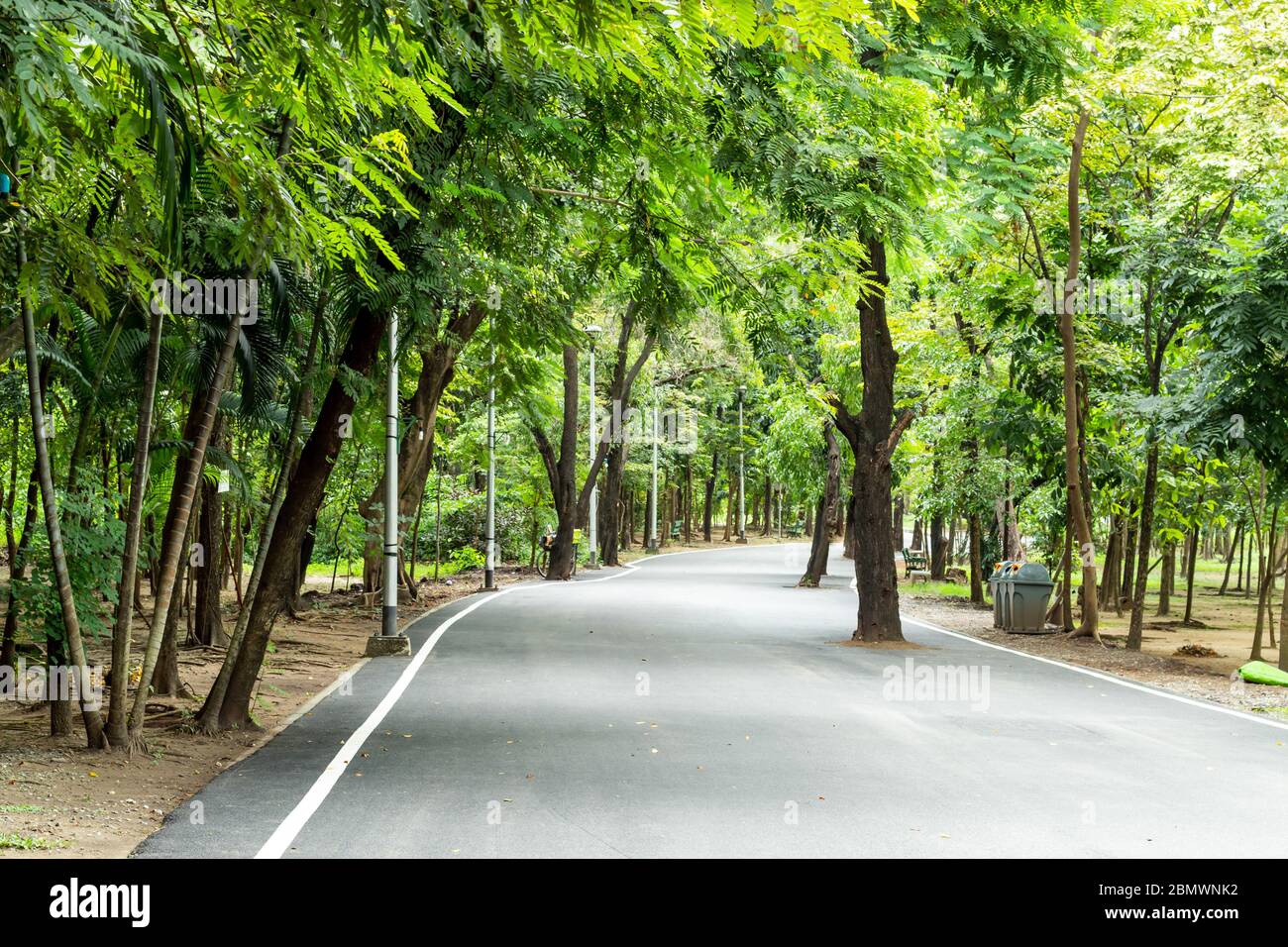 Lots of trees hi-res stock photography and images - Alamy