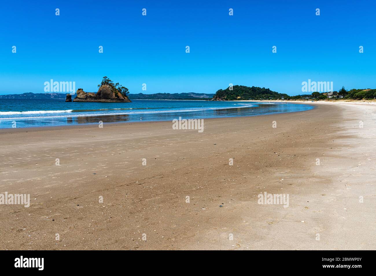 Whangapoua Beach on the Coromandel Peninsula in New Zealand Stock Photo ...