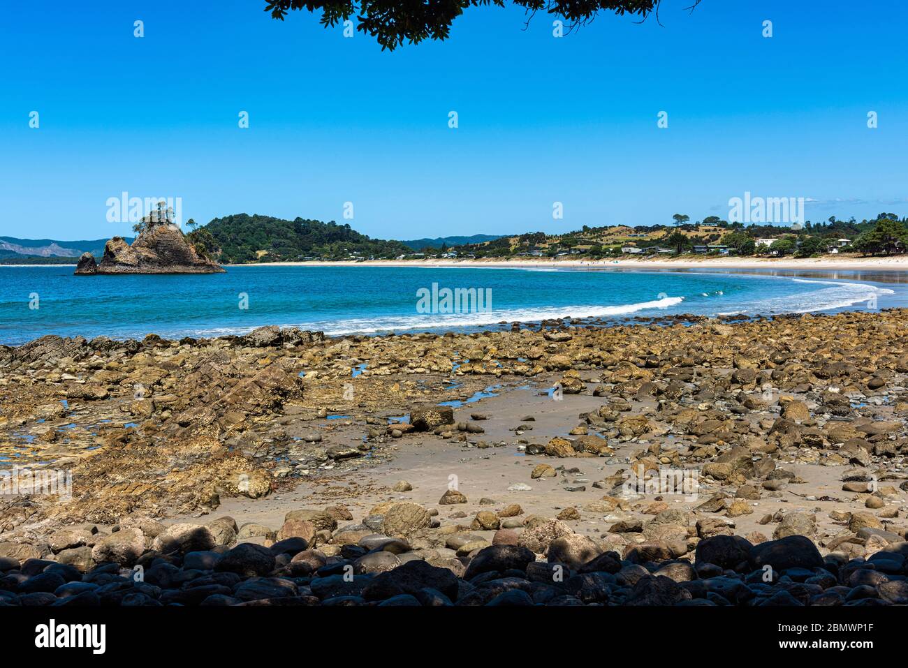 Whangapoua Beach on the Coromandel Peninsula in New Zealand Stock Photo ...