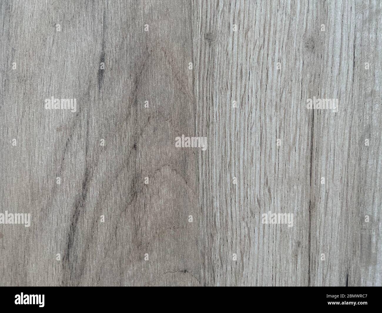 Background and texture of the tree, photo on mobile. A close-up ...