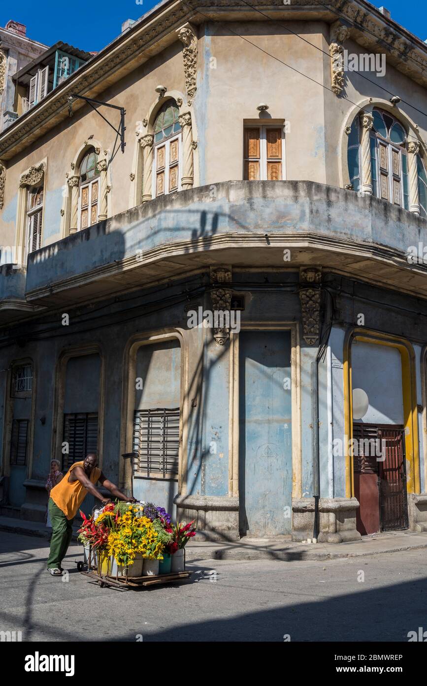 Crumbling flowers hi-res stock photography and images - Alamy