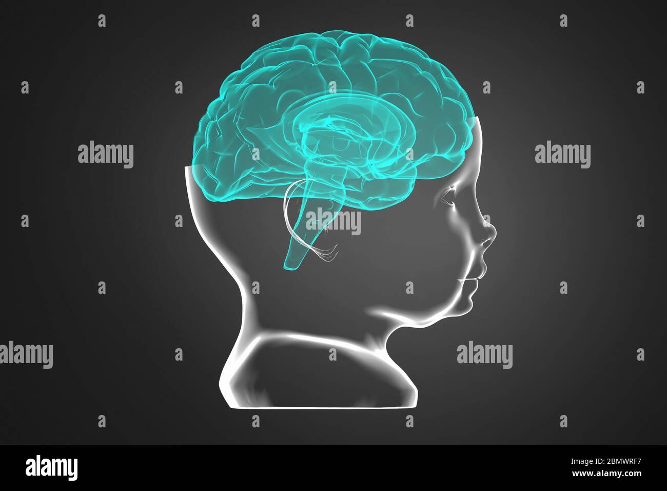Model of the child's head and brain. Conceptual 3d illustration that ...