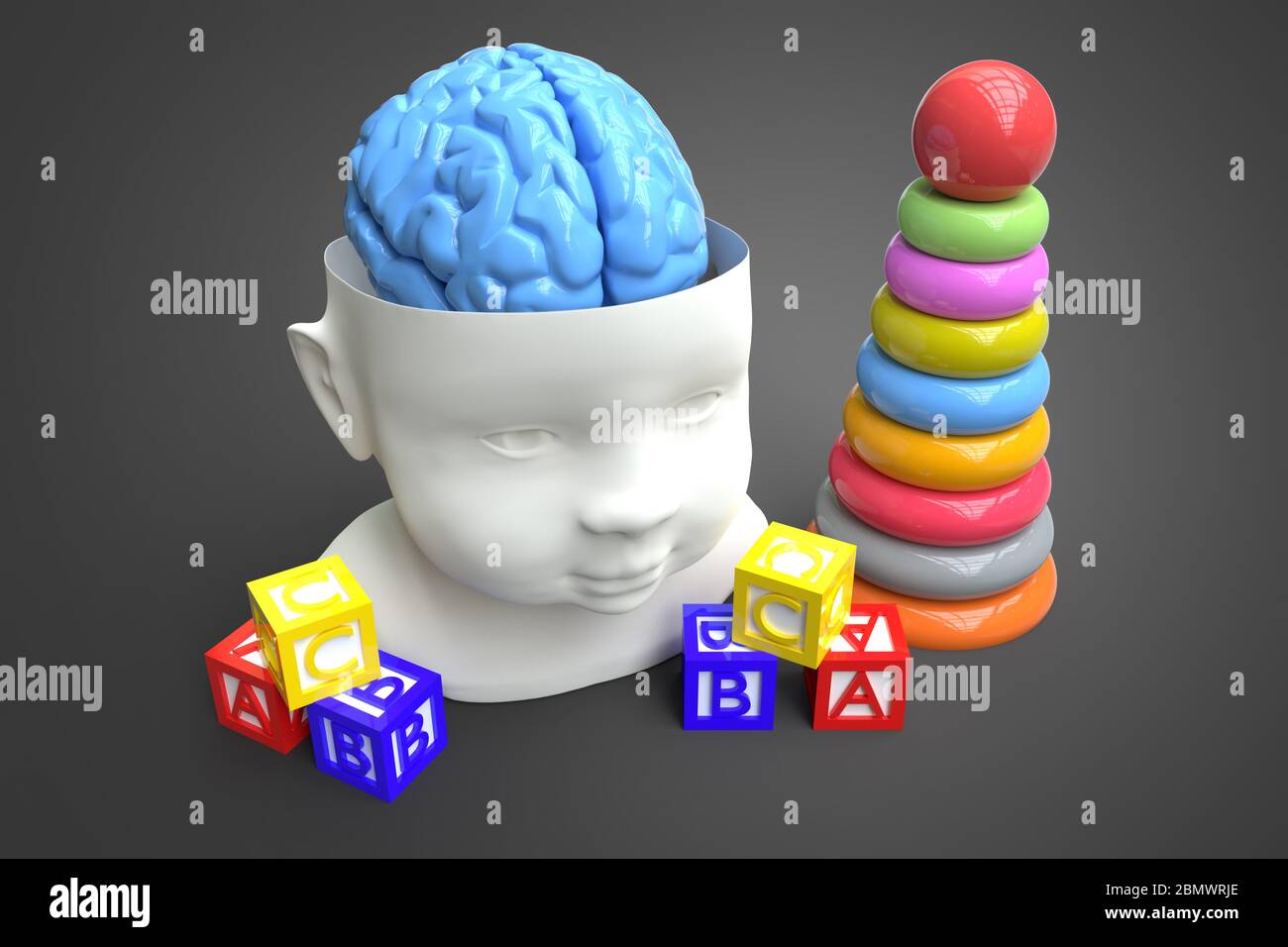 Model of the child's head and brain. Conceptual 3d illustration that ...