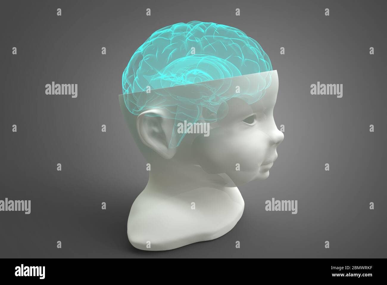 Model of the child's head and brain. Conceptual 3d illustration that ...