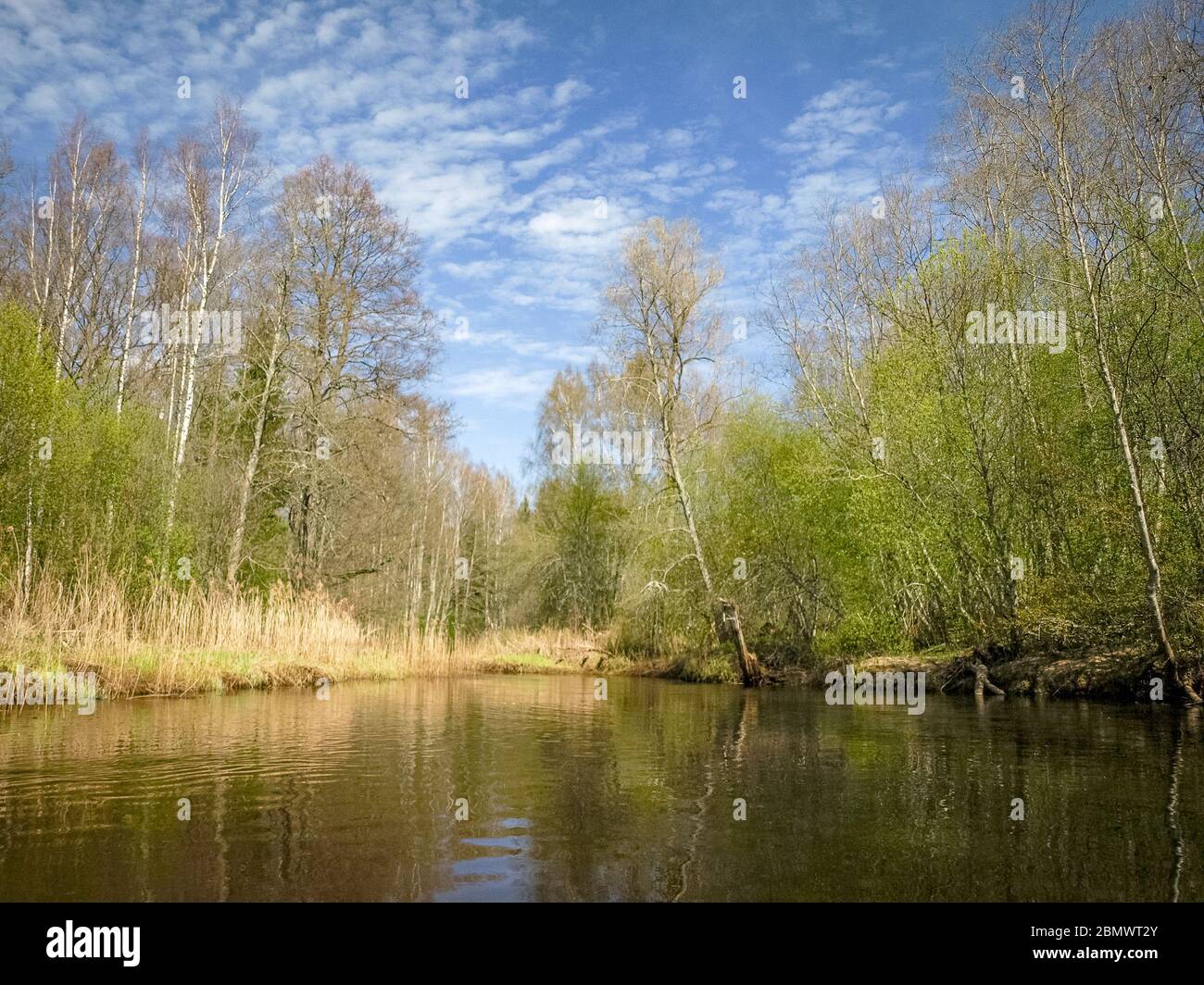 landscape with a small wild river bank, the first spring greenery, last ...