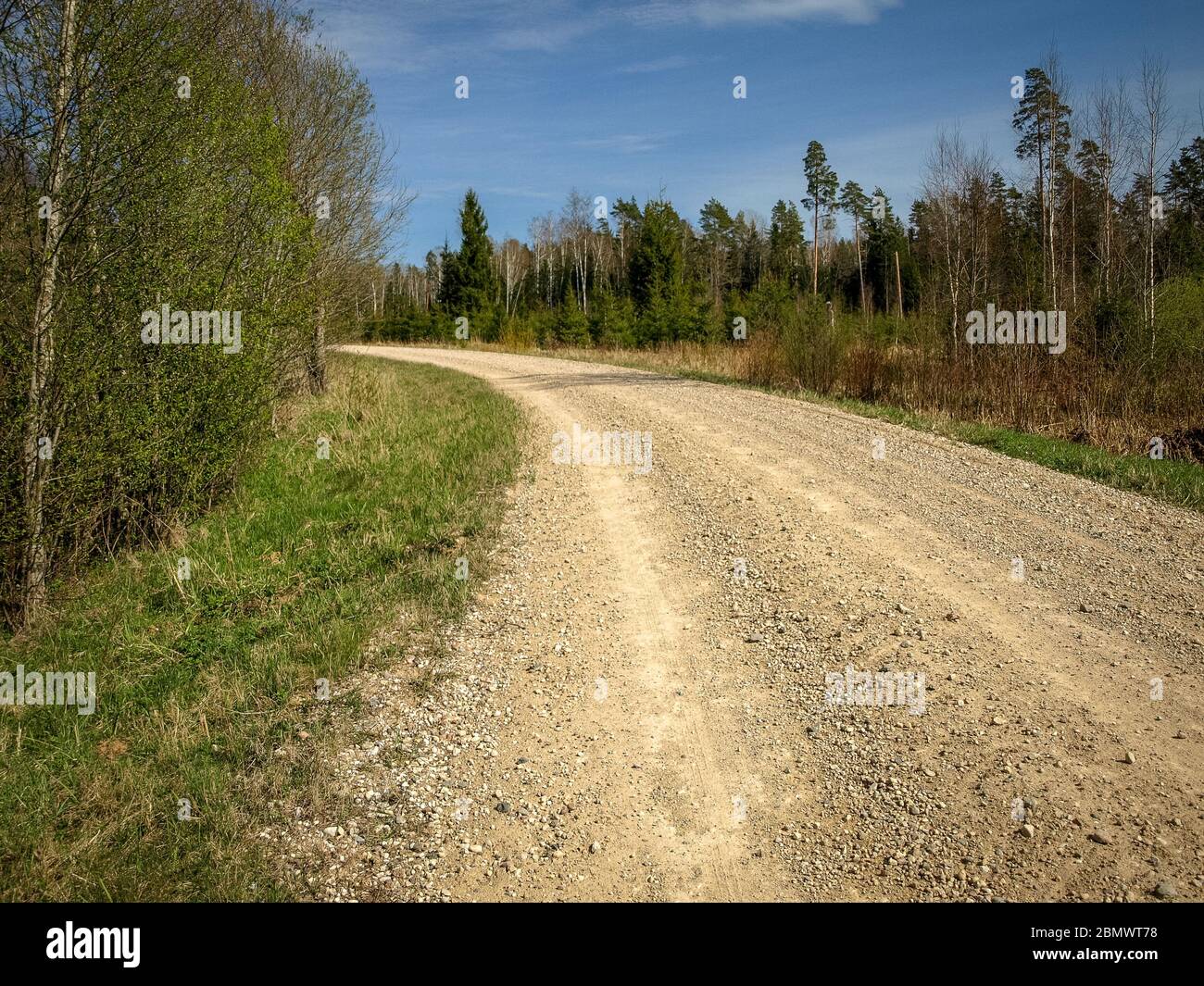 spring landscape with a simple country road, the first bright spring ...