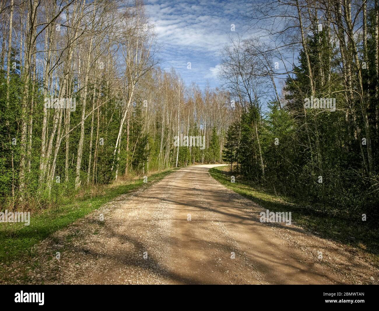 spring landscape with a simple country road, the first bright spring ...