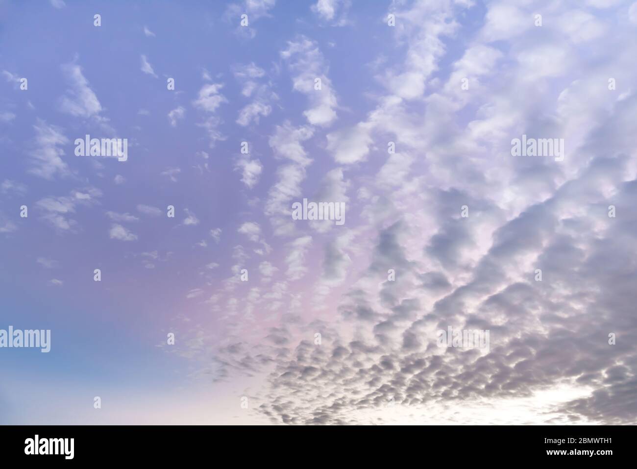 Violet purple sunset glow hi-res stock photography and images - Alamy