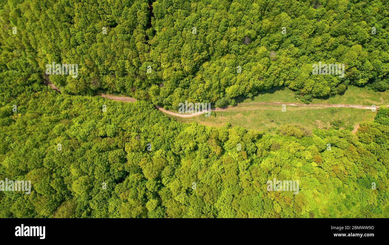 Forest and road aerial view Stock Photo - Alamy