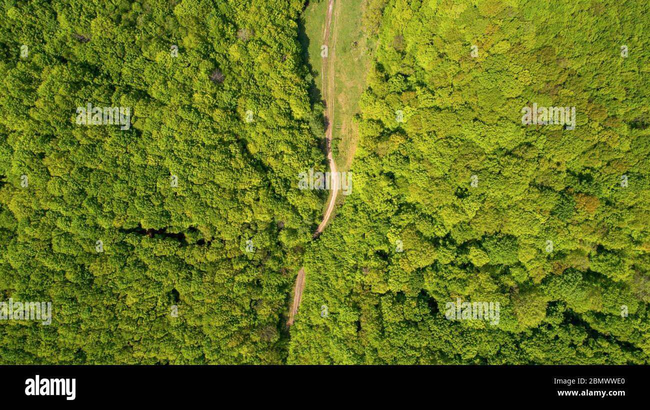 Forest and road aerial view Stock Photo - Alamy