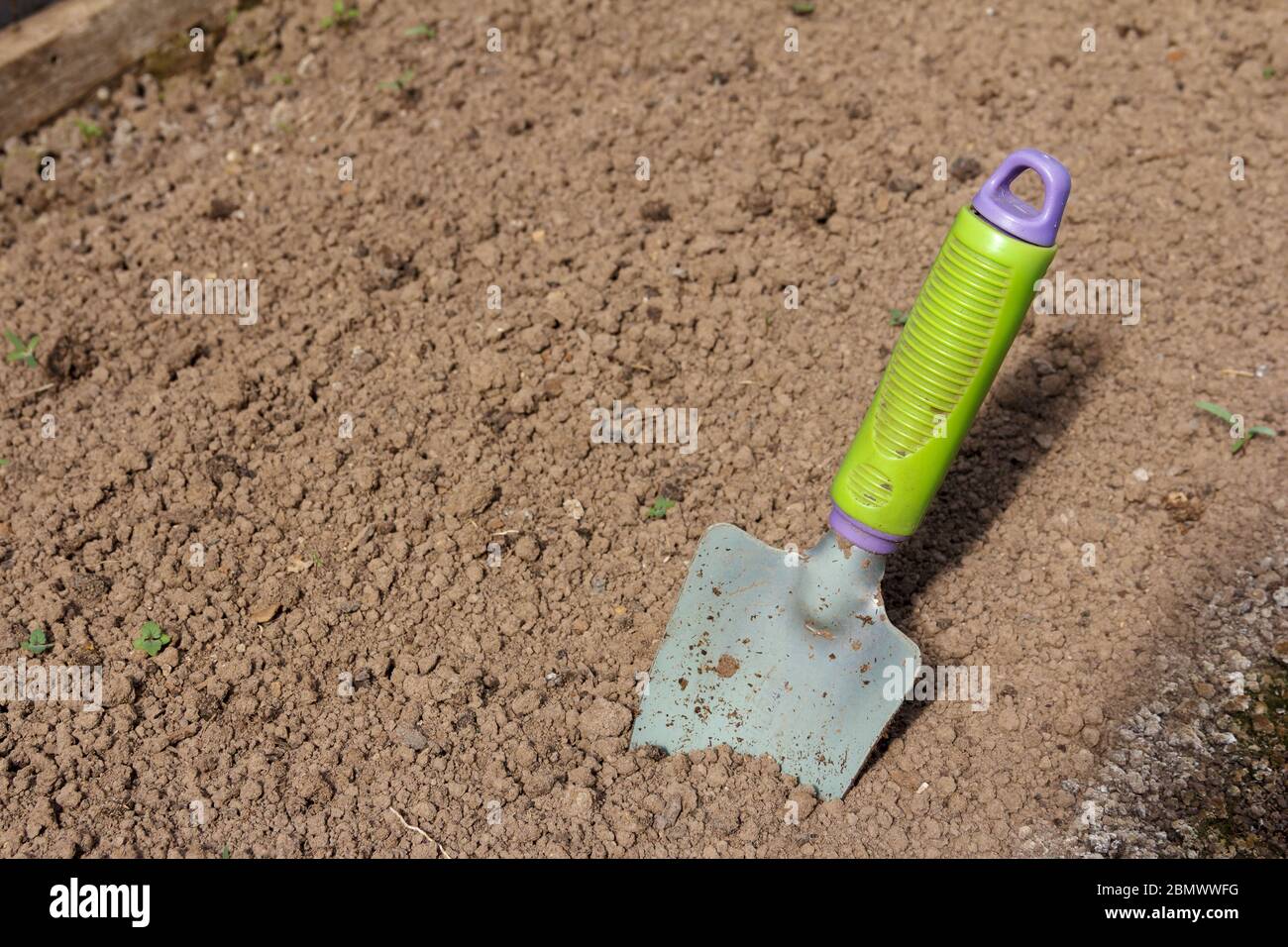 Garden tools before spring plantings. Hand garden tools. Homestead ...