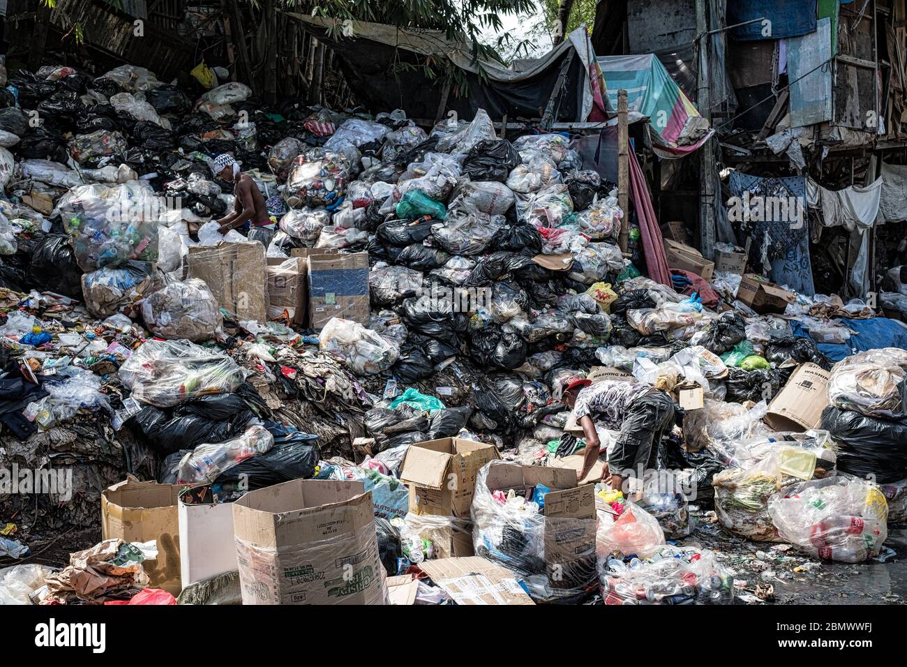 Payatas, lining in the garbage (Manila, Philippines) color version ...