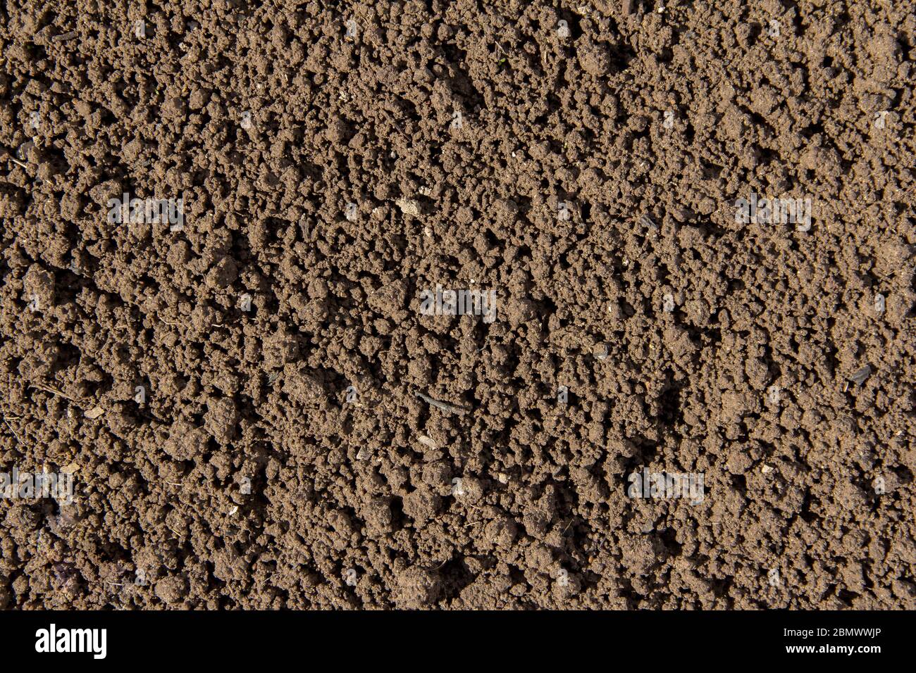 Background of soil in a village in sunny weather. Soil background Stock ...