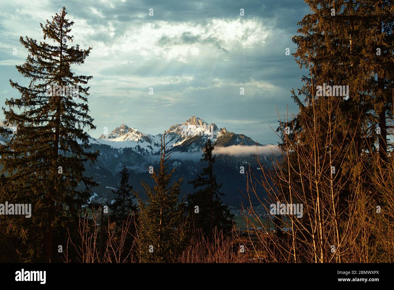 Falling From Tree High Resolution Stock Photography and Images - Alamy