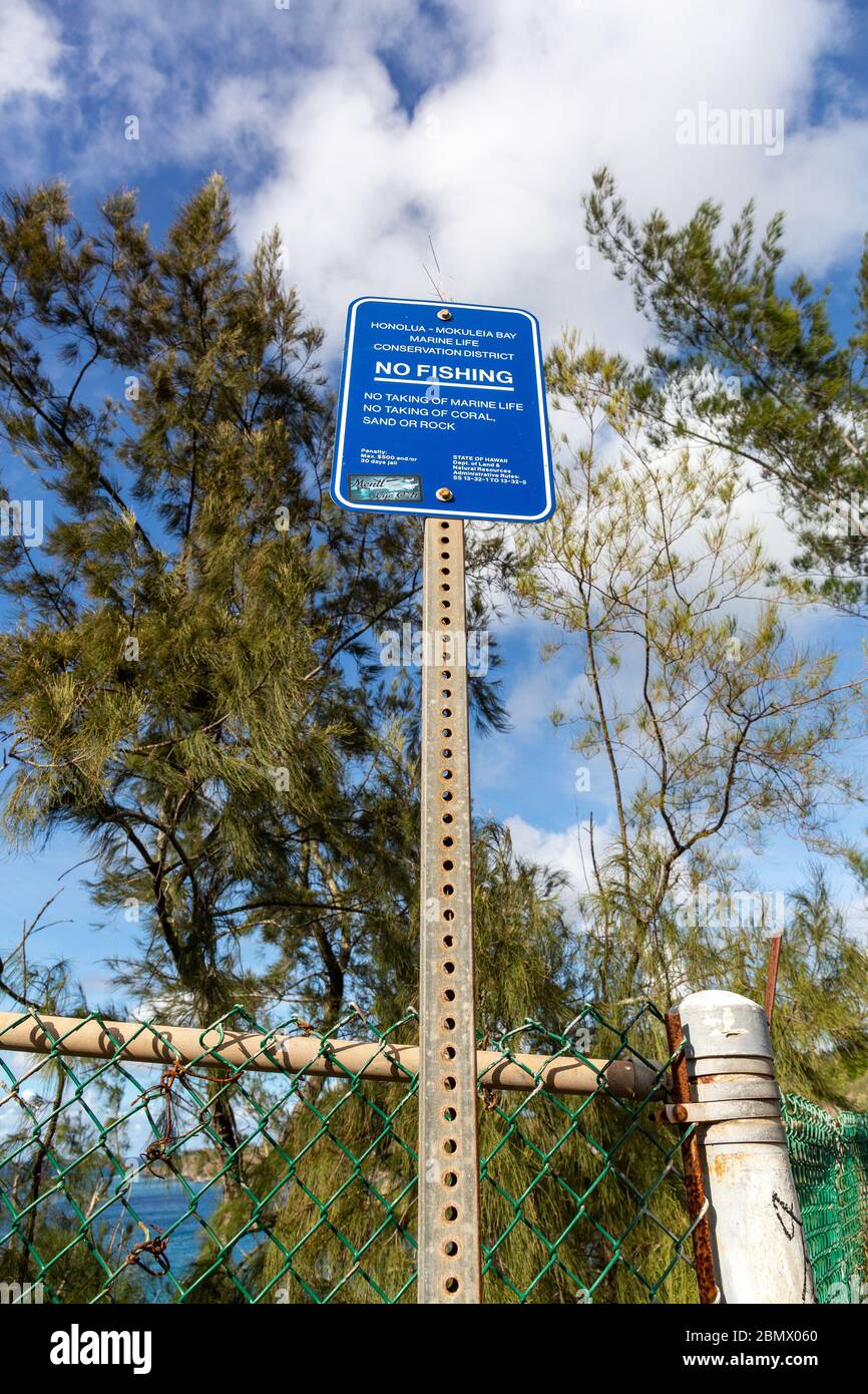 Slaughterhouse Beach, Maui Stock Photo - Alamy