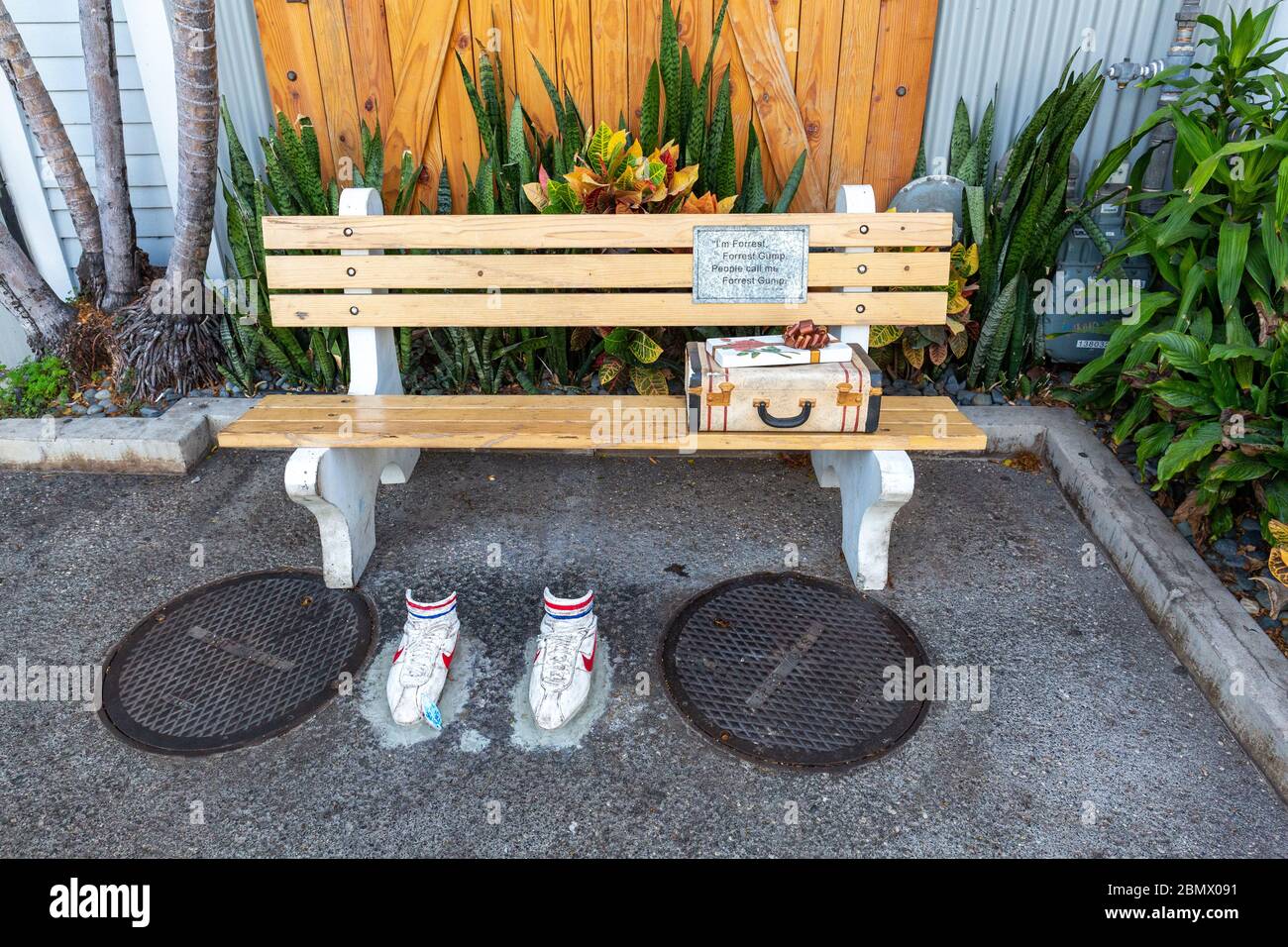 Forrest Gump Bench Museum