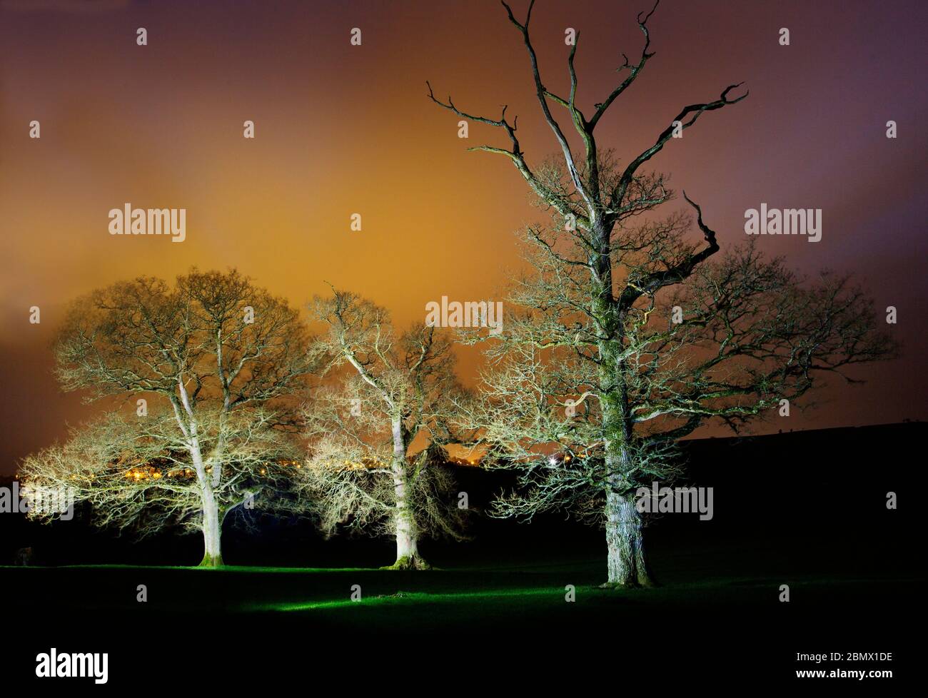 Torch lit trees night hi-res stock photography and images - Alamy