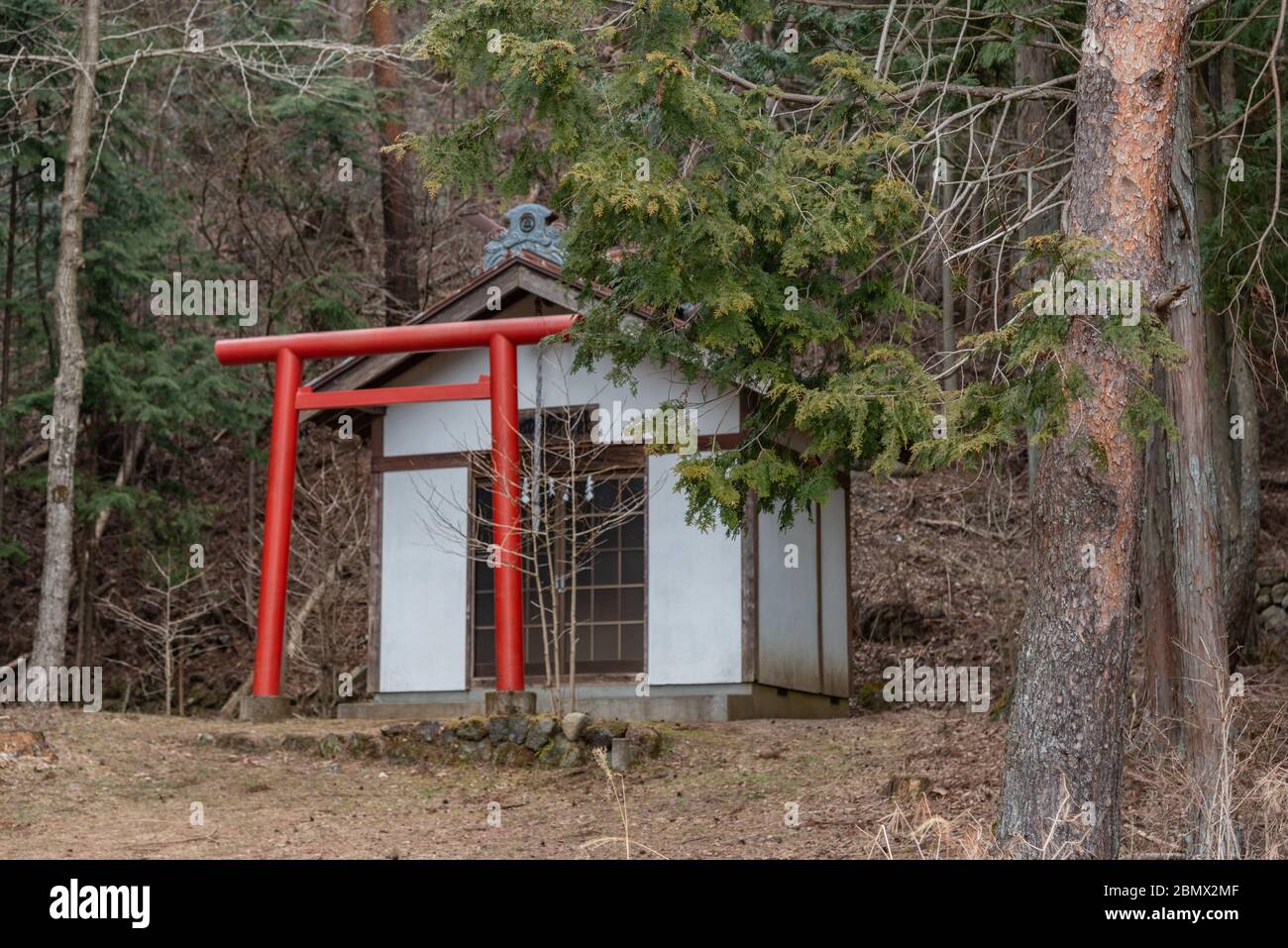 Particular temple hi-res stock photography and images - Alamy