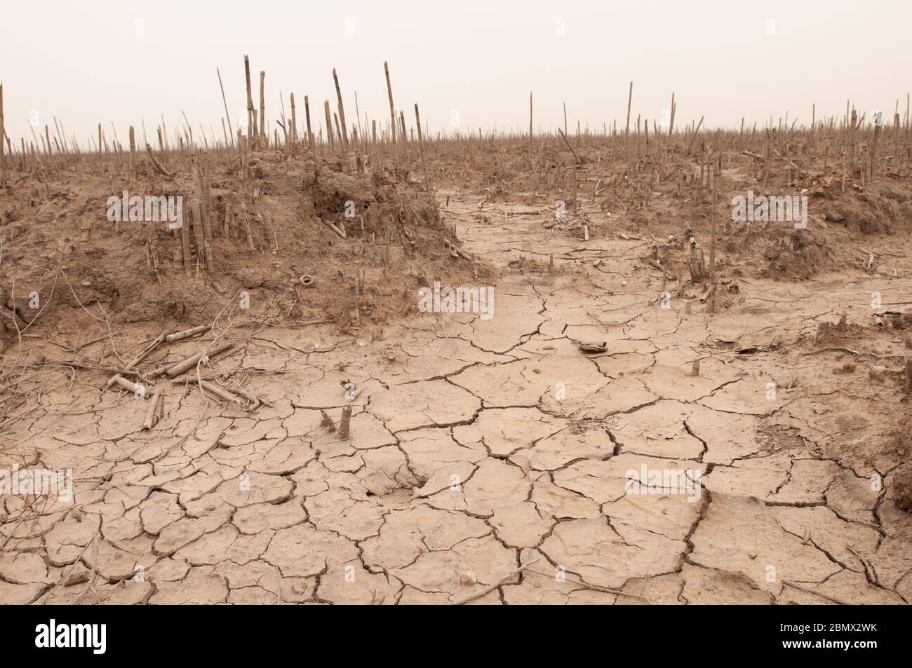 Saddam hussein 1991 hi-res stock photography and images - Alamy