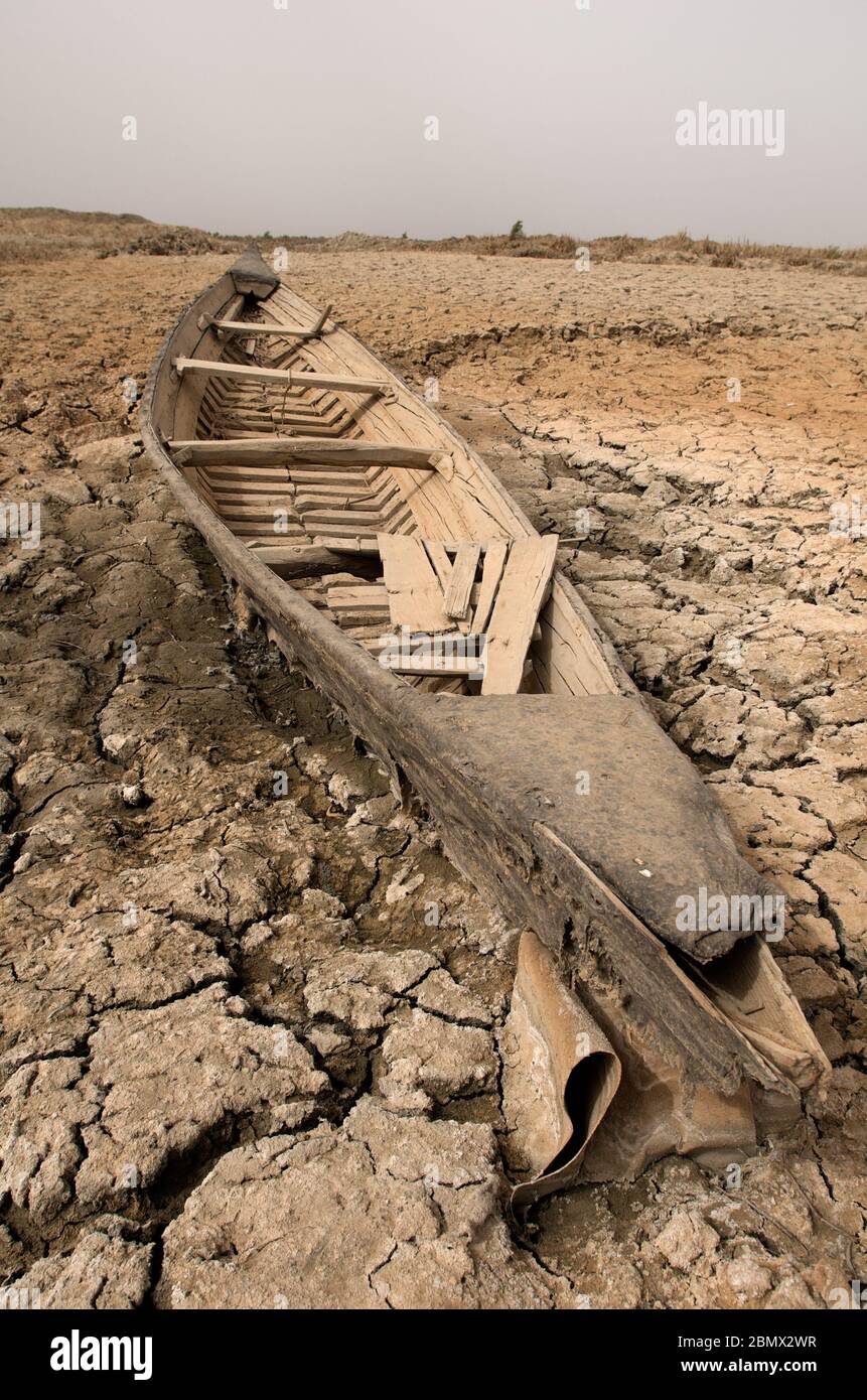 A traditional marsh Arab boat, a Mashoof, lies abandoned and decaying ...