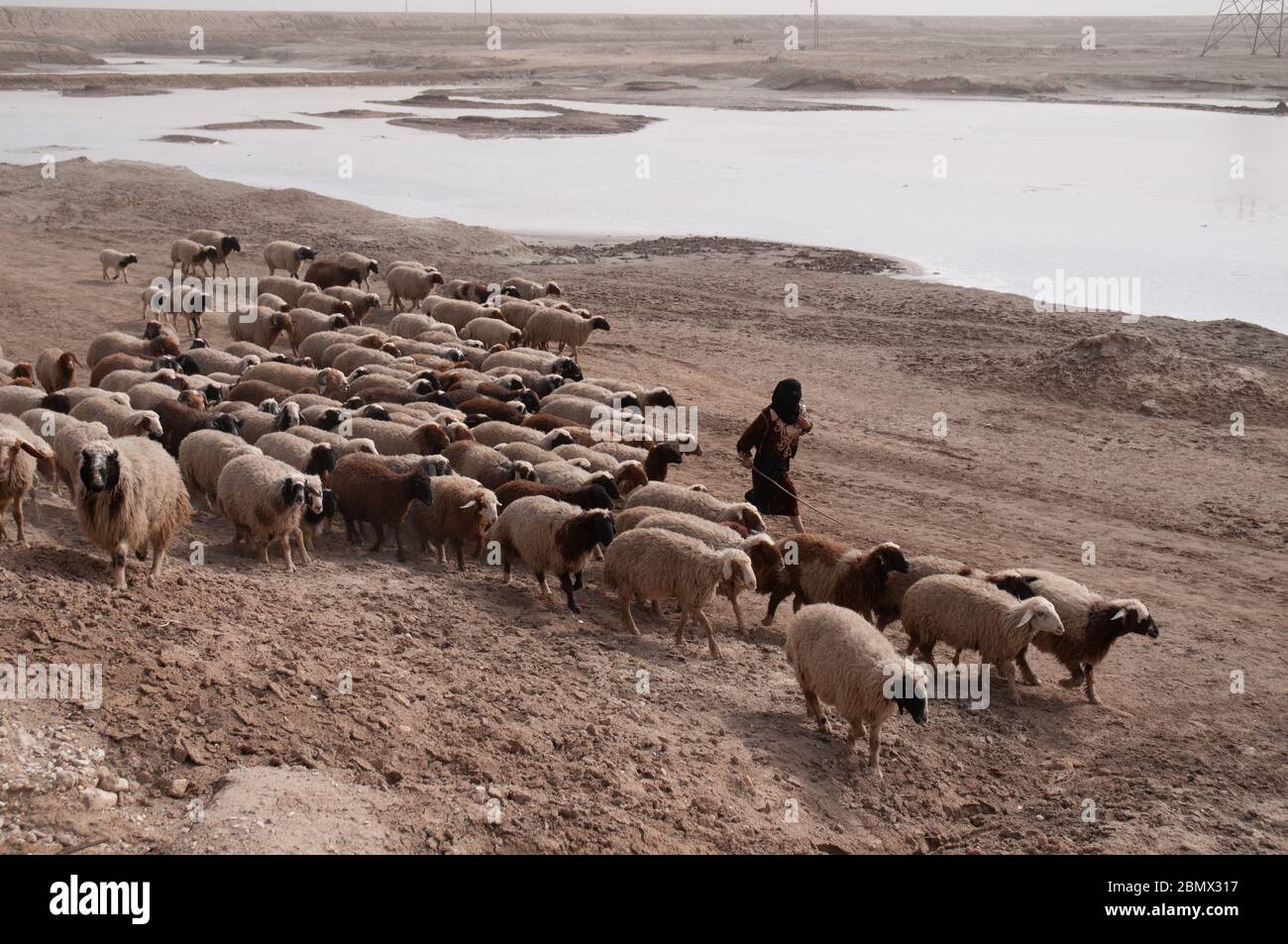 Desert basra hi-res stock photography and images - Alamy