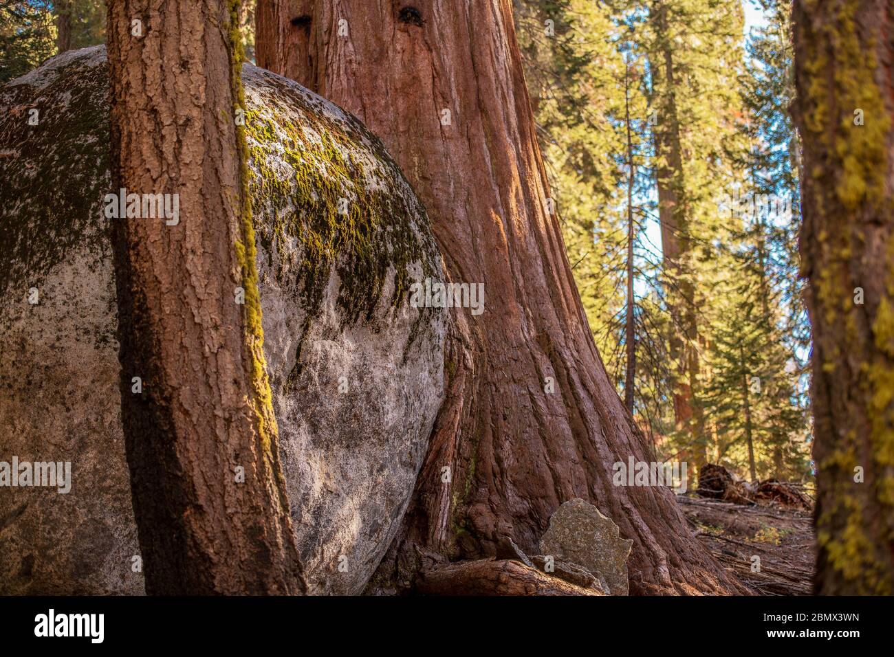 Huge giant boulder hi-res stock photography and images - Alamy