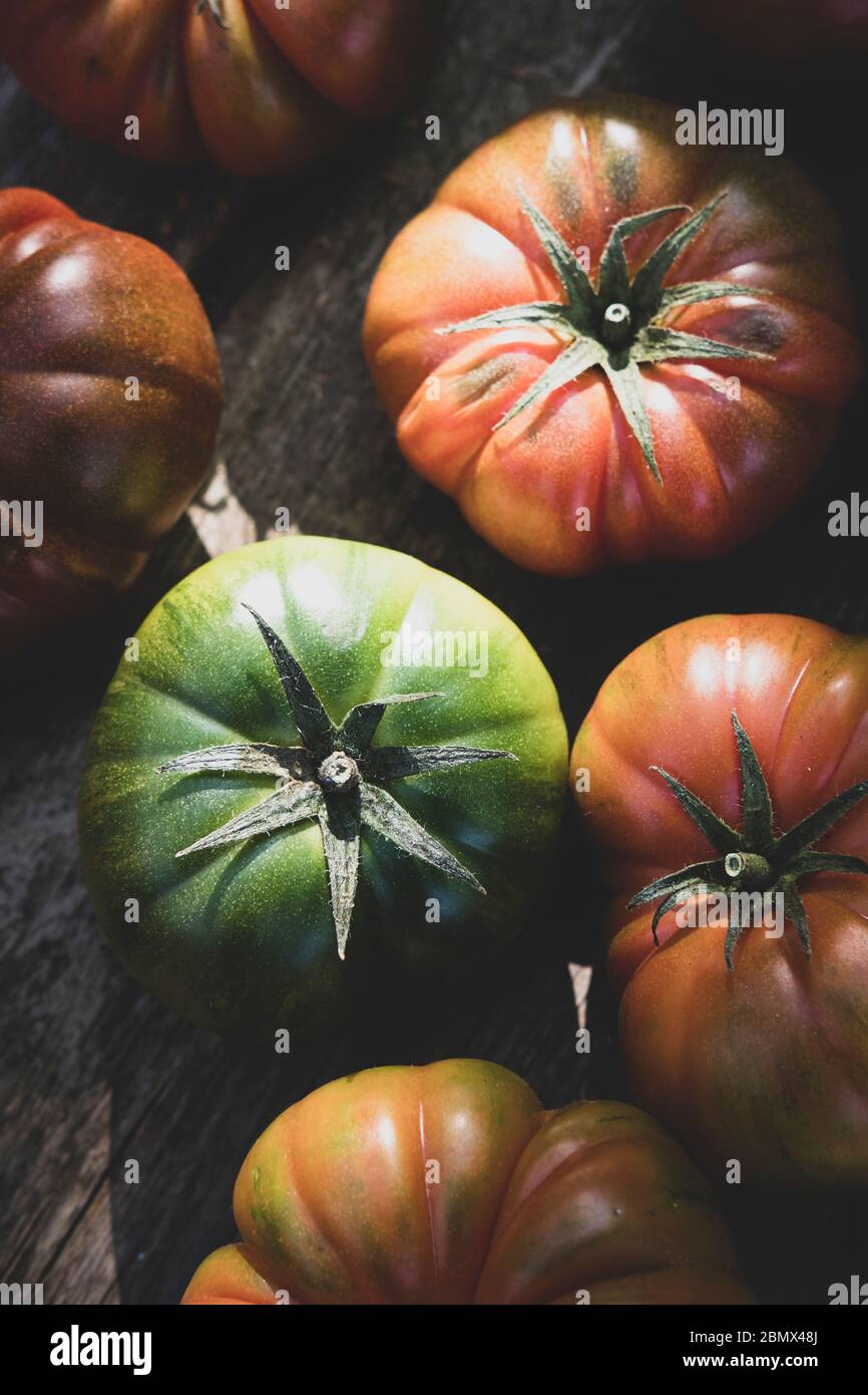 Organic production of tomatoes in an urban garden for consumption of ...