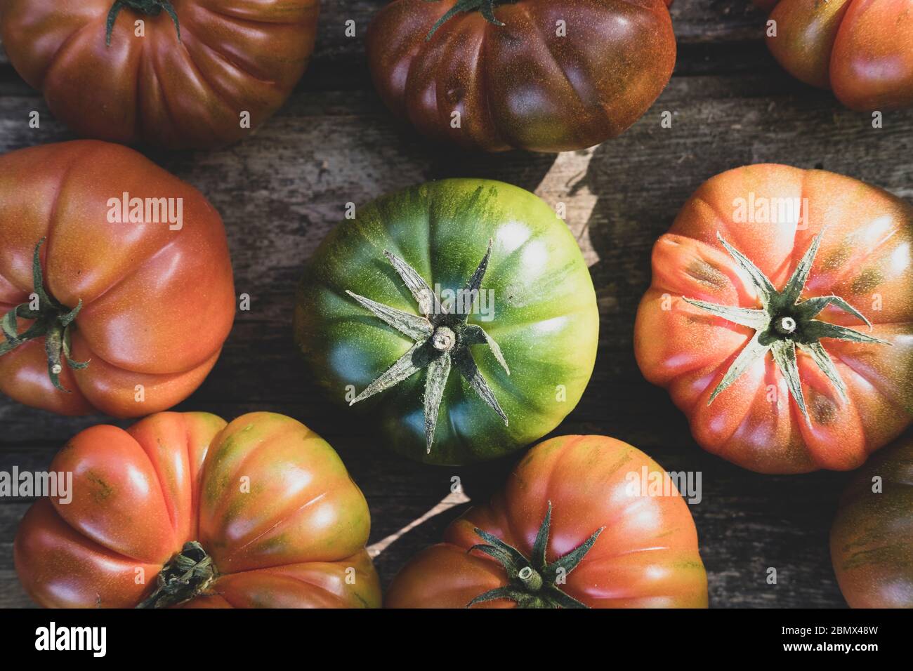 Organic production of tomatoes in an urban garden for consumption of ...