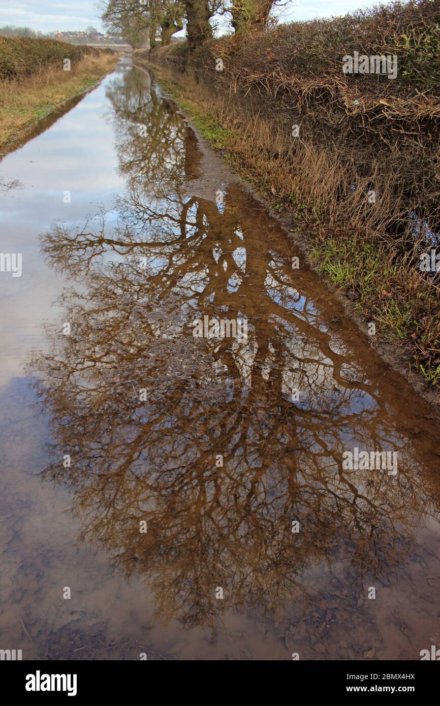 Holt lane hi-res stock photography and images - Alamy