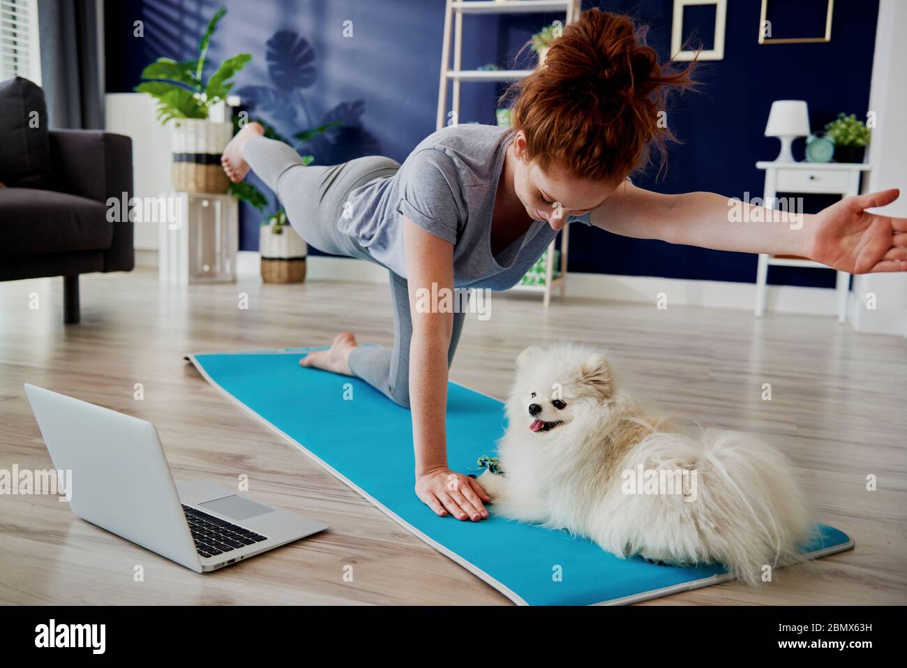 Pet exercises hi-res stock photography and images - Alamy