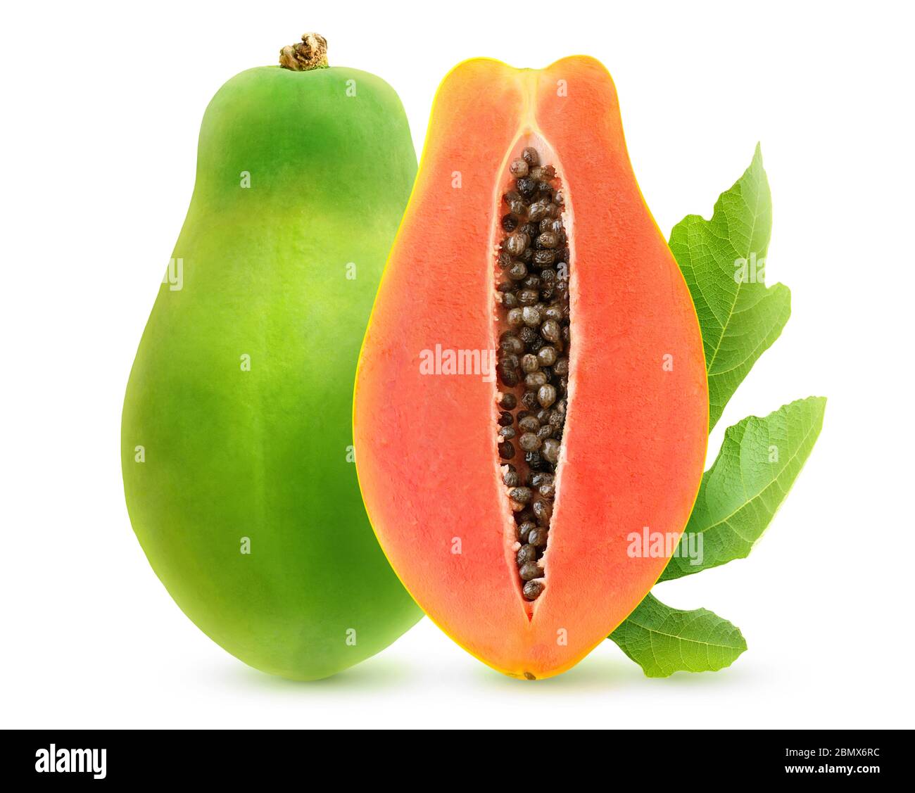 Isolated halved papaya. One green papaya fruit and a half in vertical ...