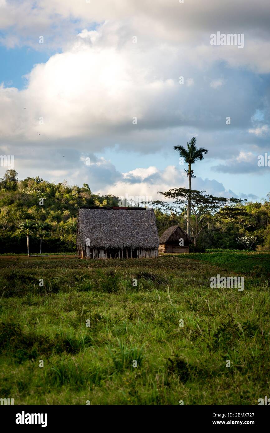 Farm houses and agricultural land, Vinales Valley, Cuba Stock Photo - Alamy