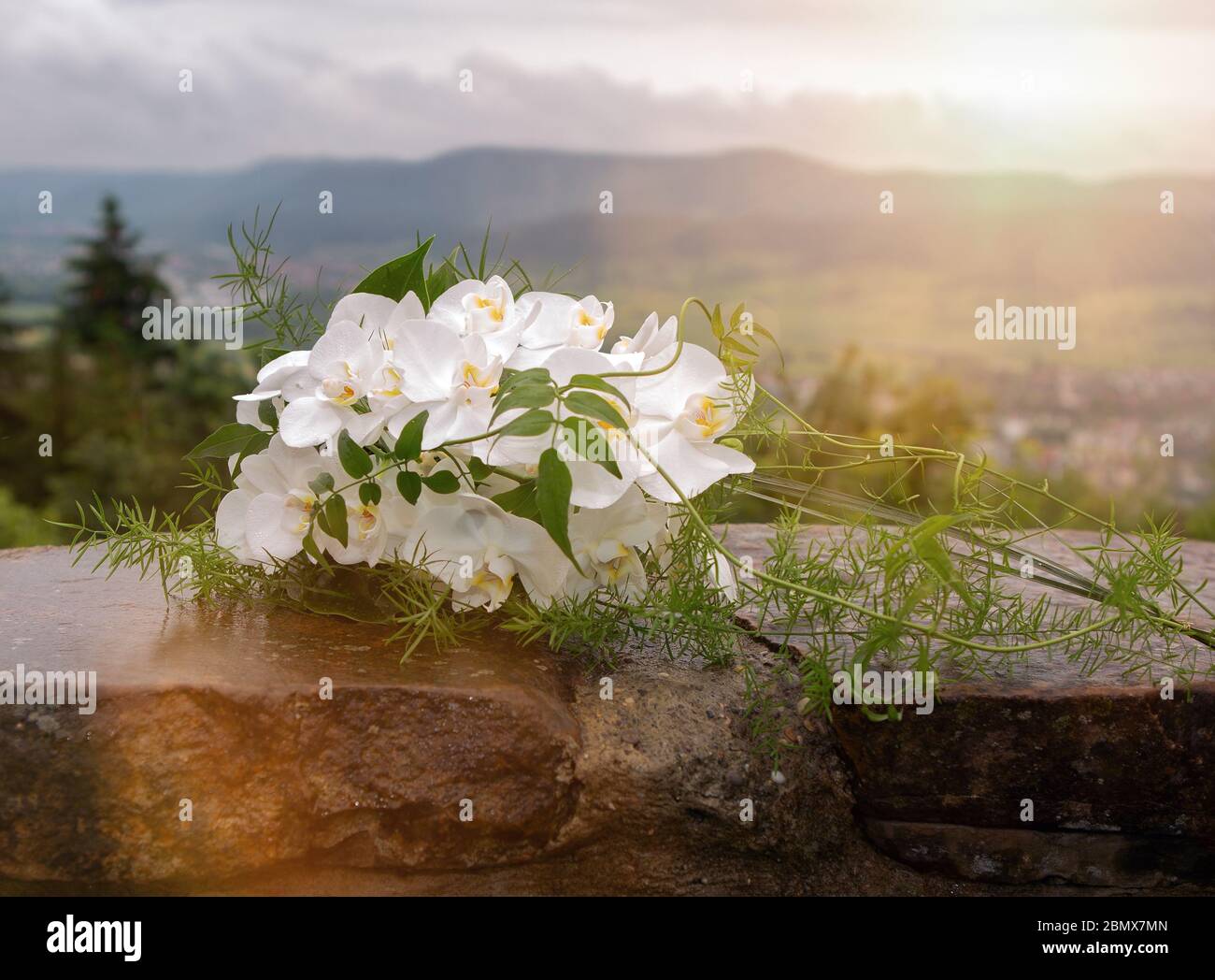 Leaf on parapet hi-res stock photography and images - Alamy