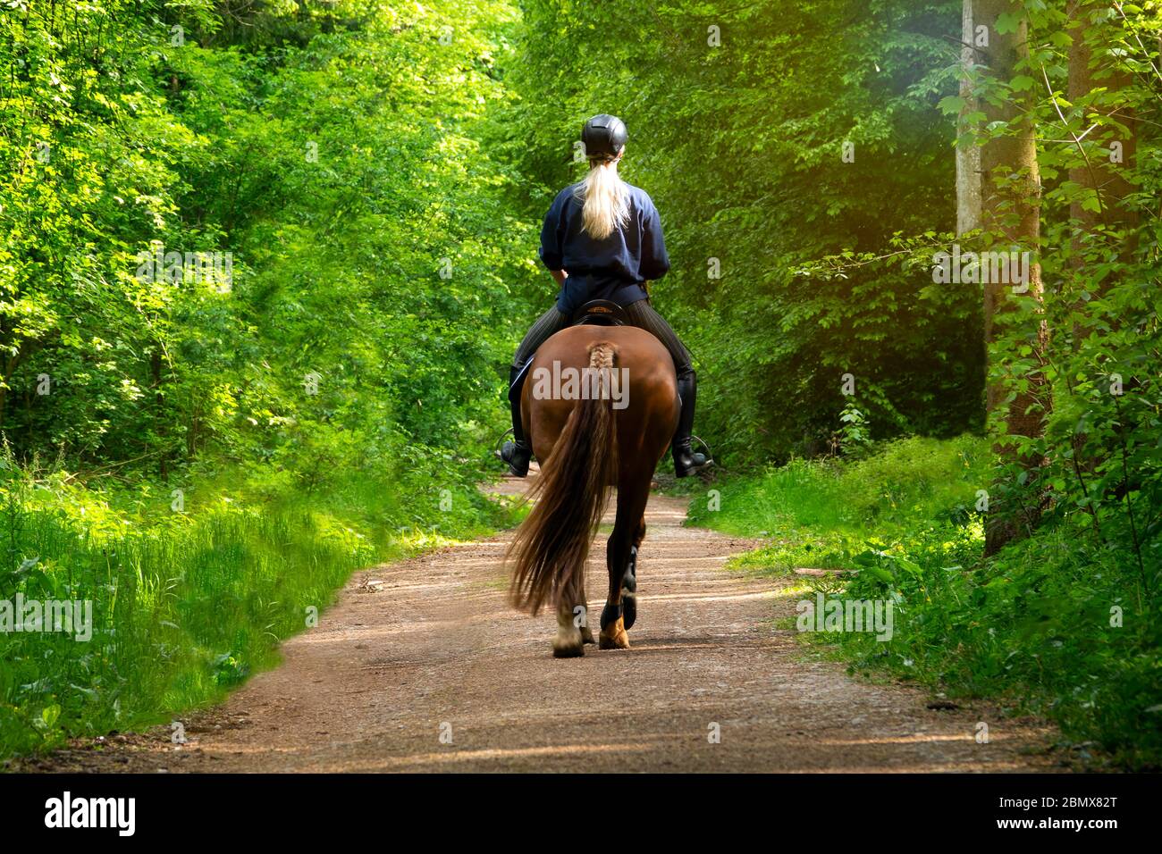 Horse adventure park helmet hi-res stock photography and images - Alamy