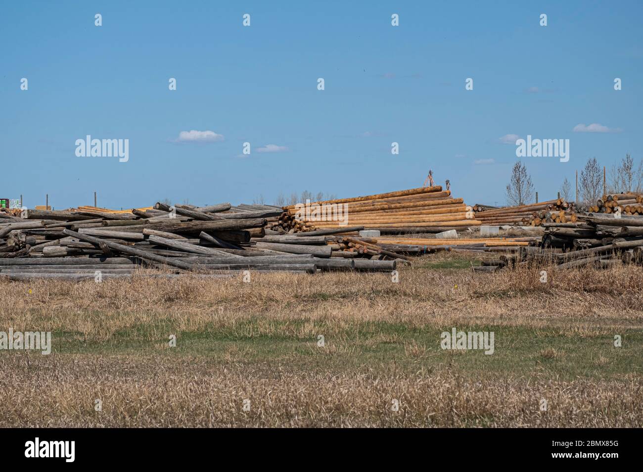 Logs of wood in front of a saw mill Stock Photo - Alamy