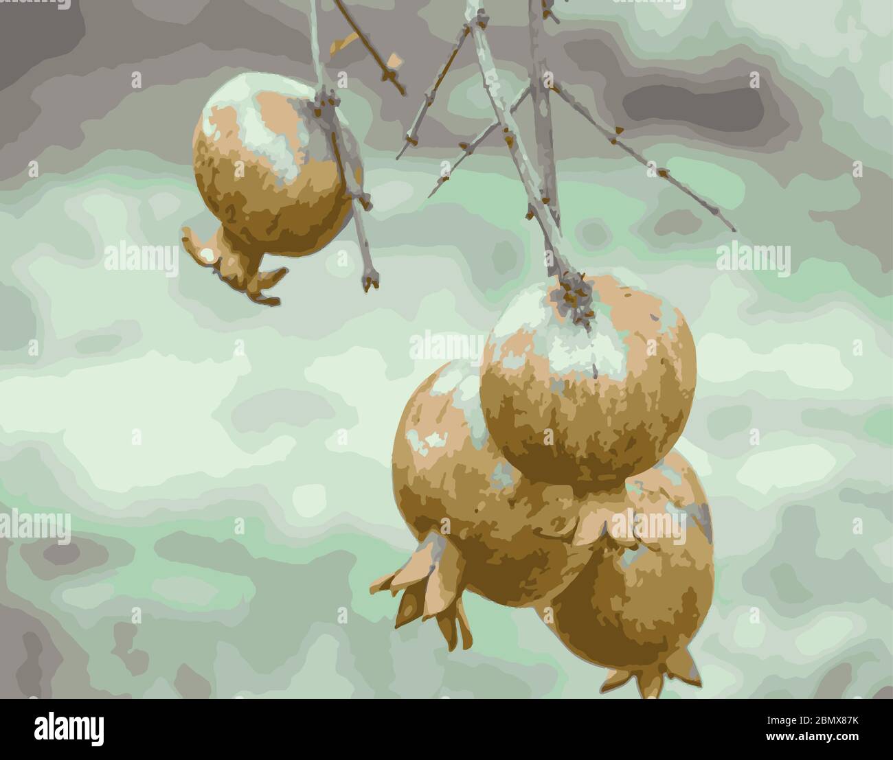 Pomegranate at tree Stock Vector Images - Alamy