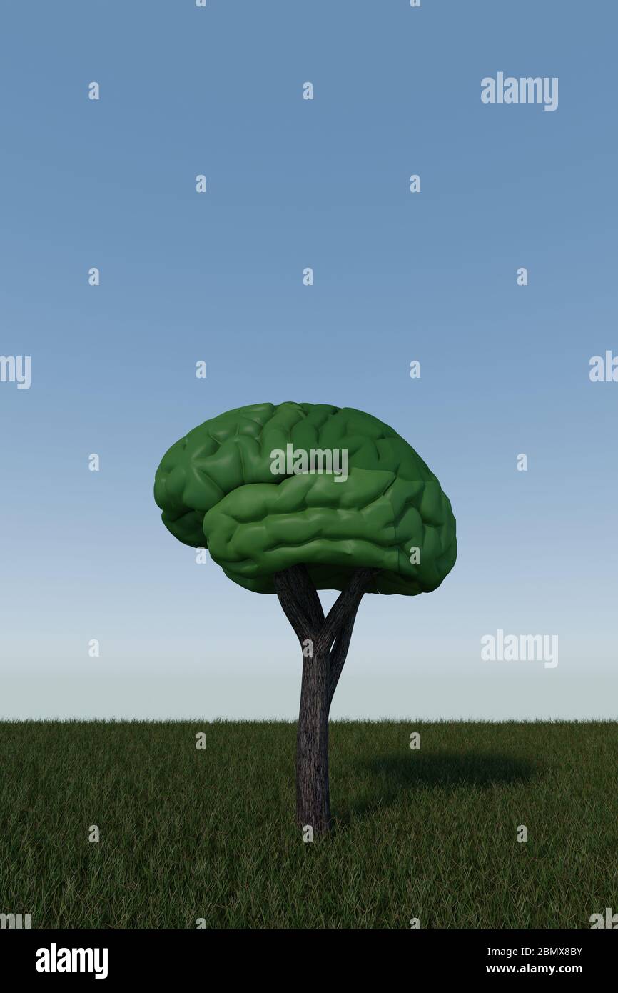 Tree shaped like a human brain, concept for brain or mental health ...