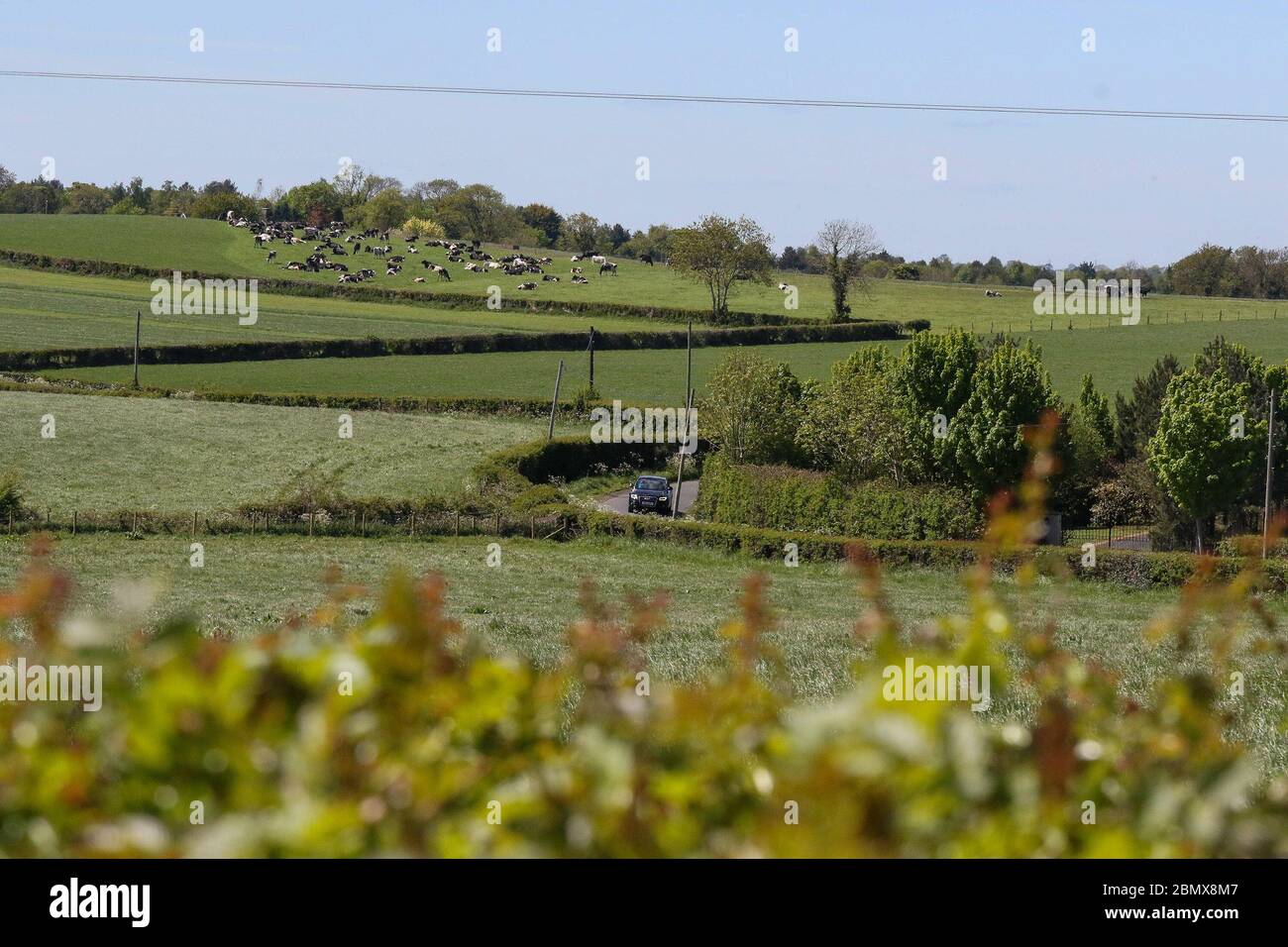 Magheralin, County Armagh, Northern, Ireland. 11th May, 2020. UK ...