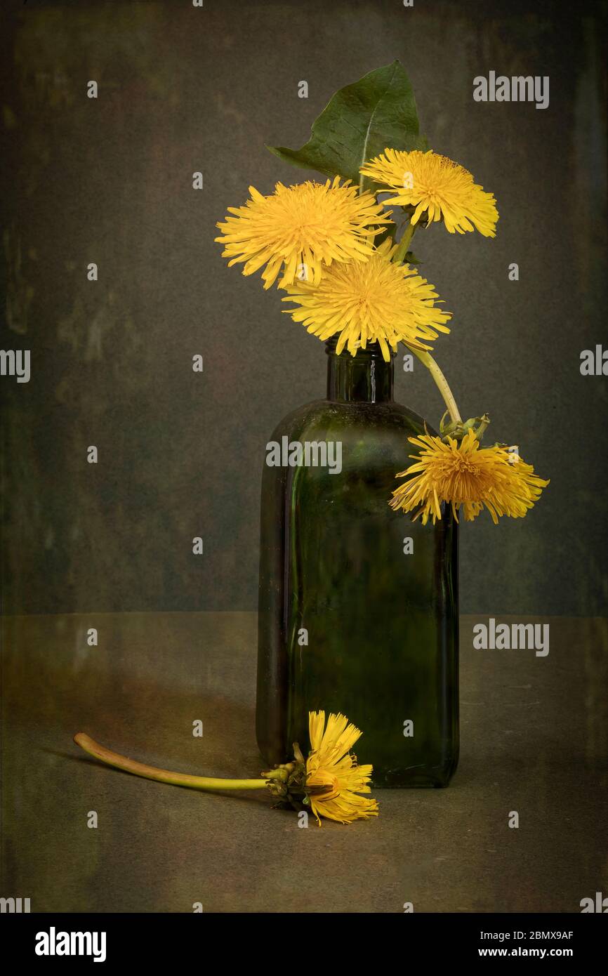 Dandelions In Vase Stock Photo - Alamy