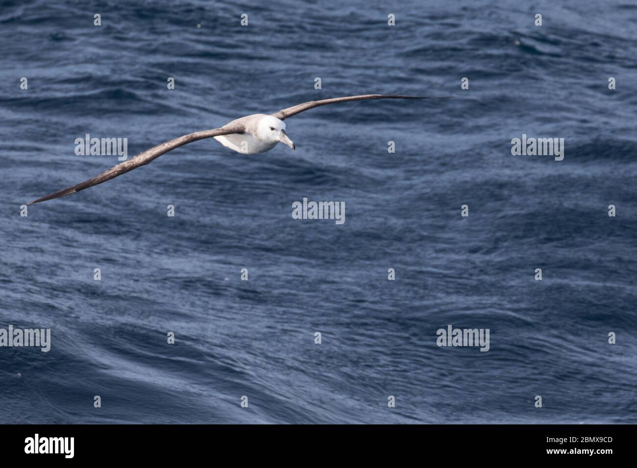 The Agulhas Current, Indian Ocean, off the coast of South Africa ...