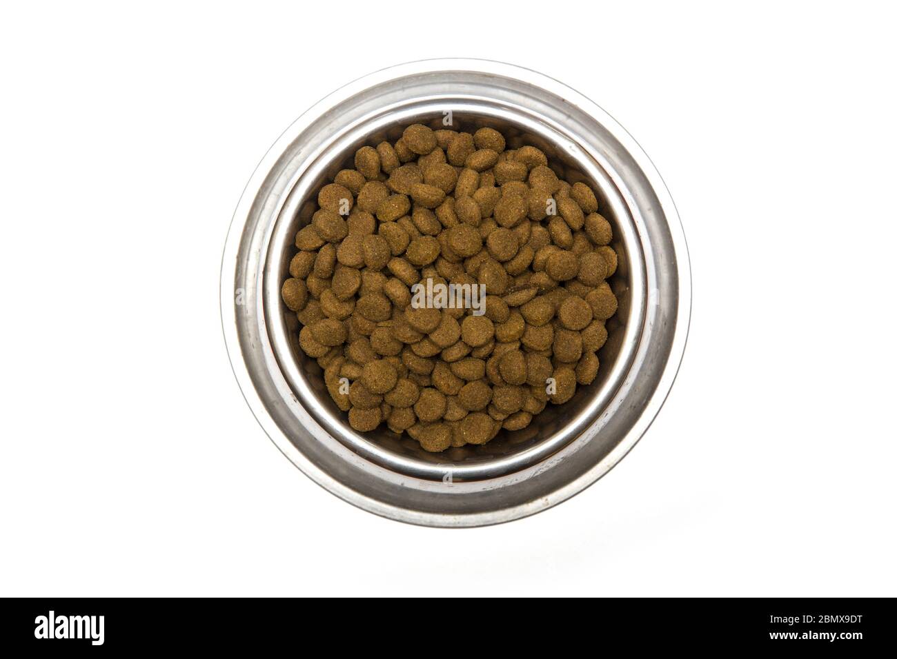 Bowl of dry kibble dog food isolated on the white background Stock ...