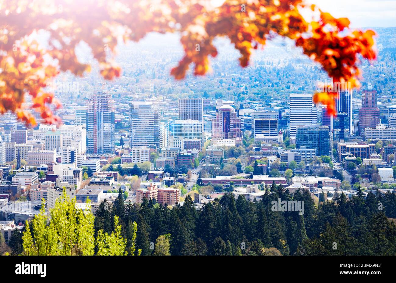 Portland downtown view from the hill of the park with burning bright ...
