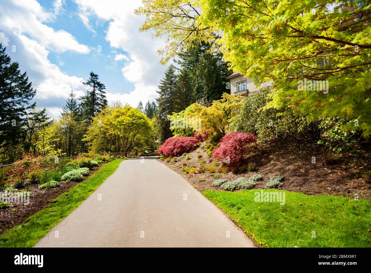 Macleay park path walk view near Pittock Mansion museum, Portland ...