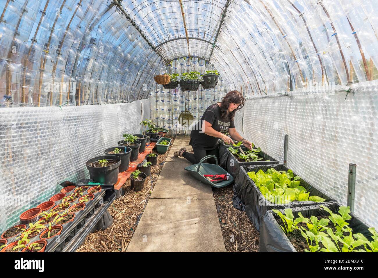 Plastic bottle recycling plant uk hi-res stock photography and images ...