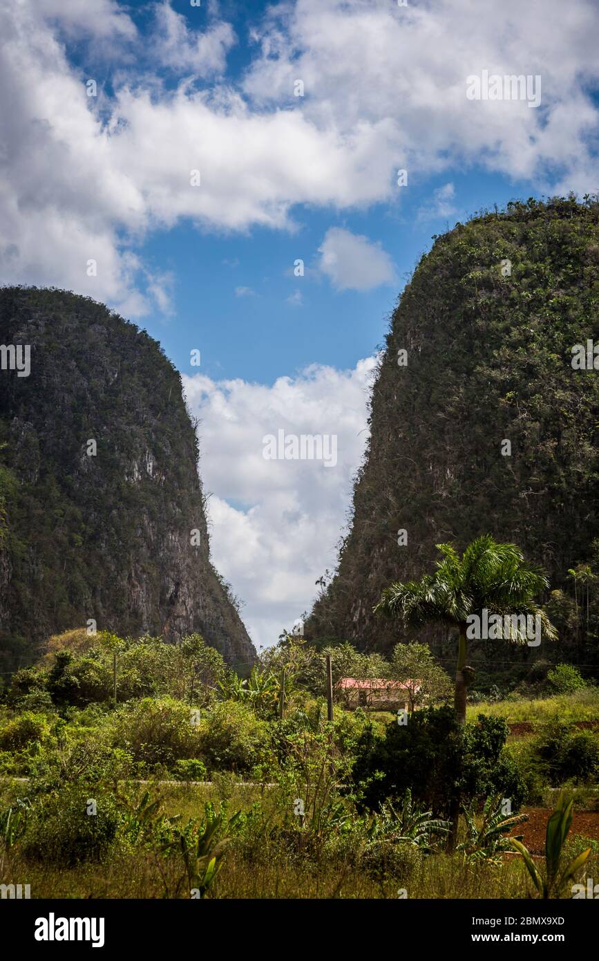 Cuban mogotes hi-res stock photography and images - Alamy