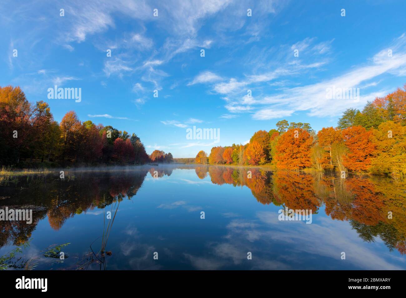 Autumn colored trees reflect on the water in the lake Stock Photo - Alamy