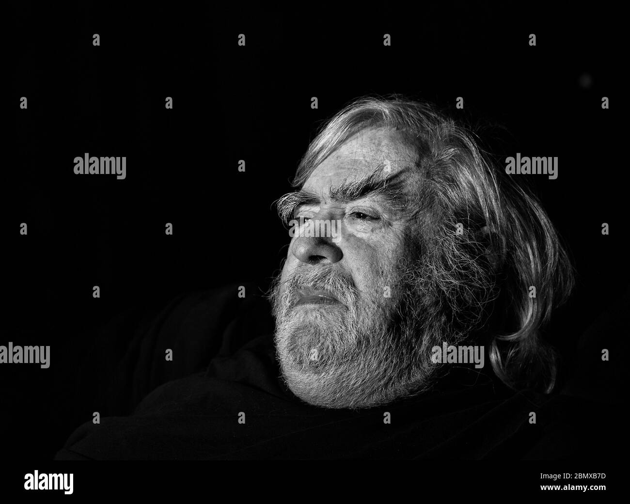 Male portrait, low key Stock Photo - Alamy